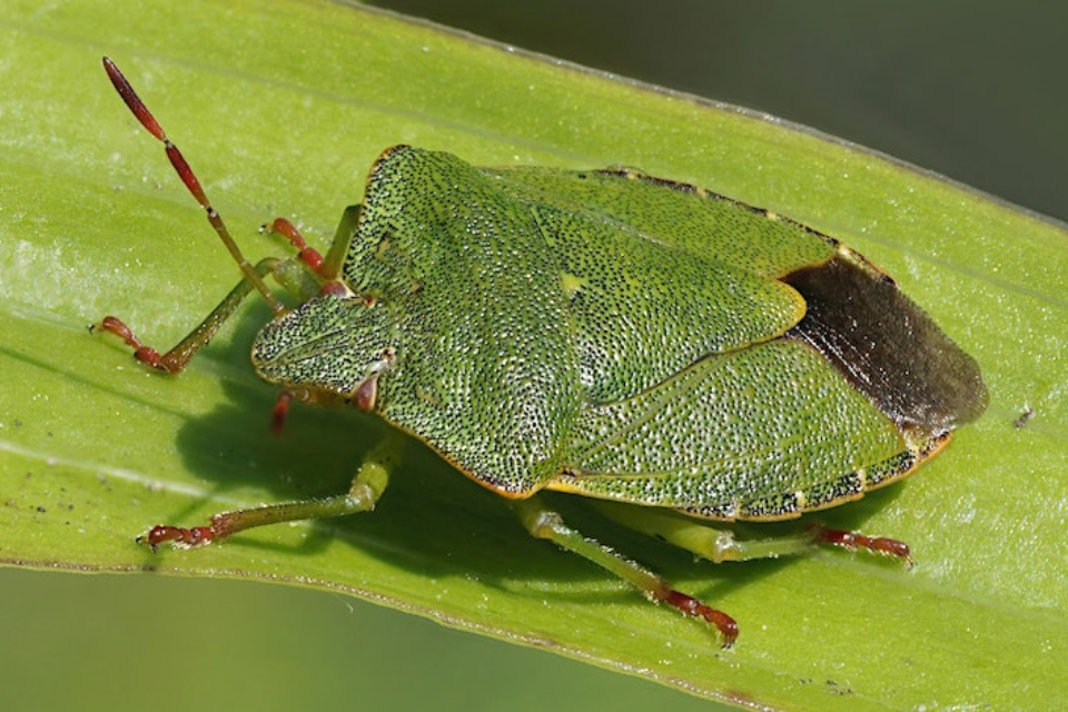 What's On - Sutton STEAMS Ahead - sutton.gov.uk