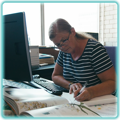 STEAM Hub - Sutton STEAMS Ahead - Sutton Council