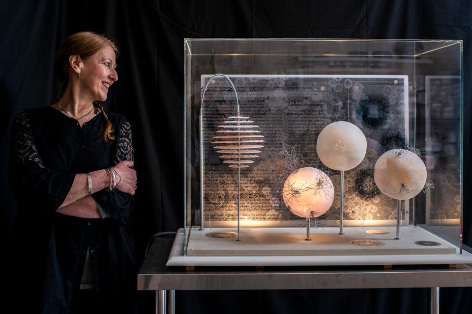 Julie Light Artist Residency Announcement - Sutton STEAMS Ahead ...